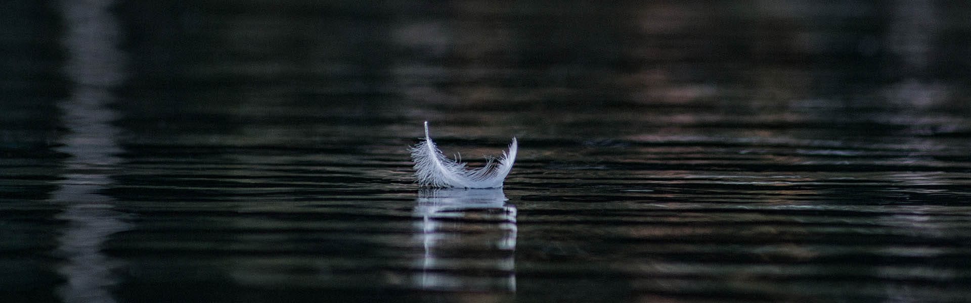 Exercising Discretion at Work | Ritz-Carlton Leadership Center